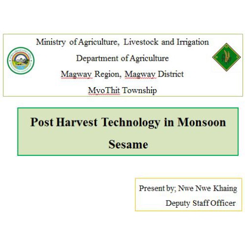 Post Harvest Technology in Monsoon Sesame
